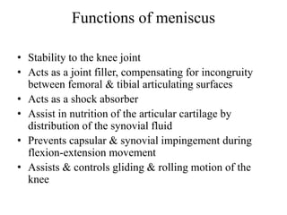 Anatomy of knee and biomechanics | PPTX