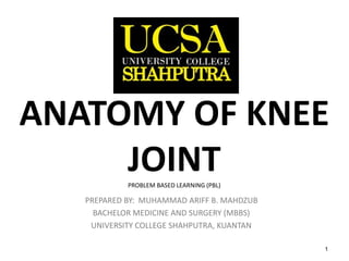 Anatomy of Knee Joint | PPT
