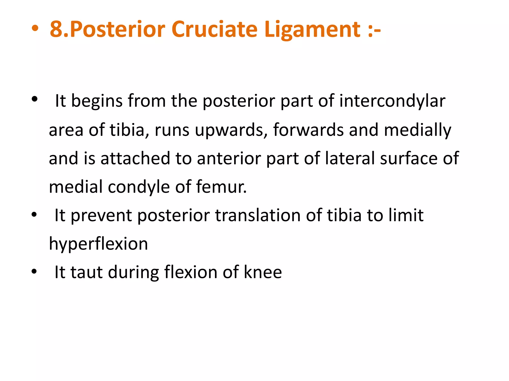 Anatomy of knee joint | PPTX