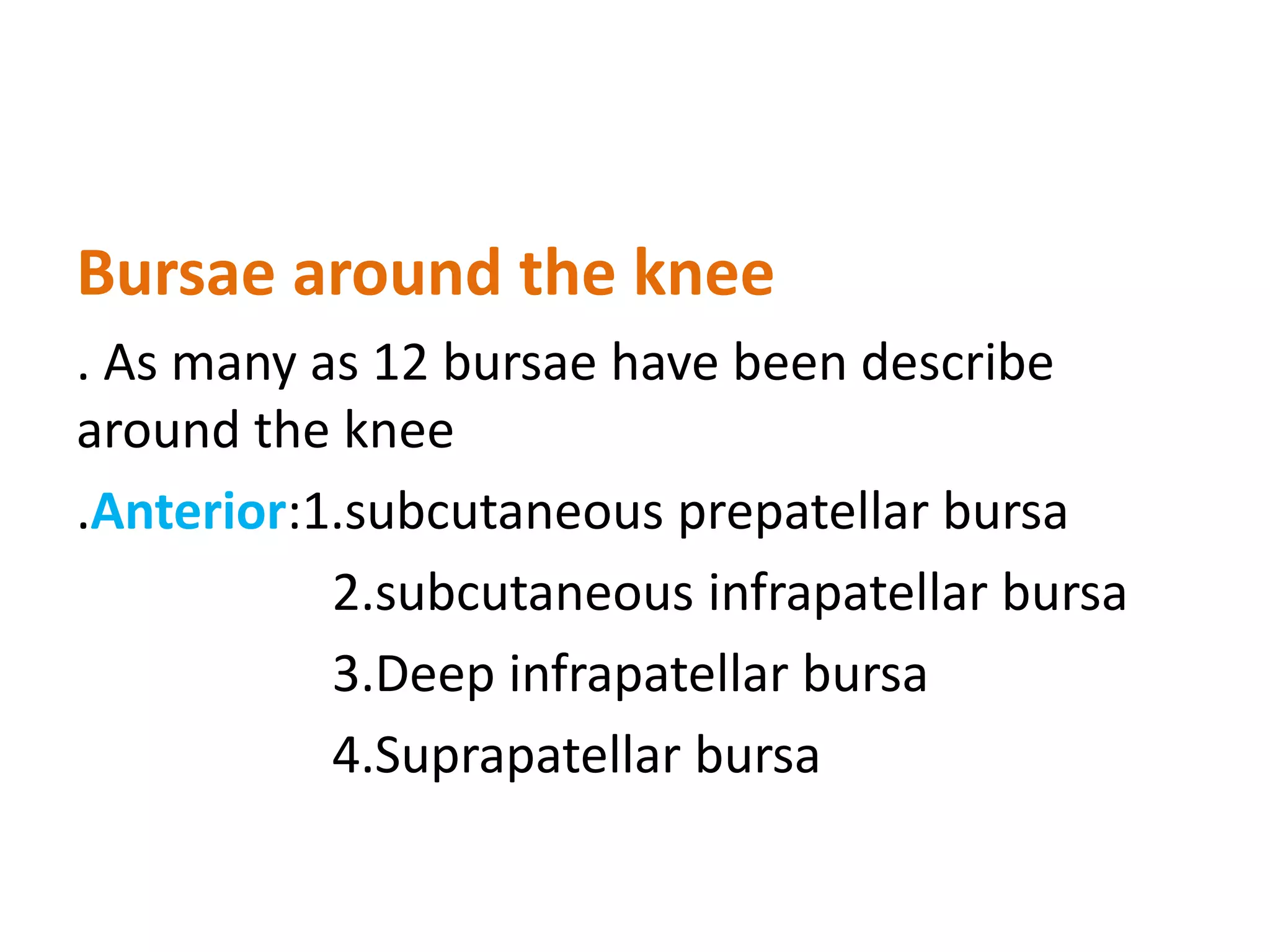 Anatomy of knee joint | PPTX