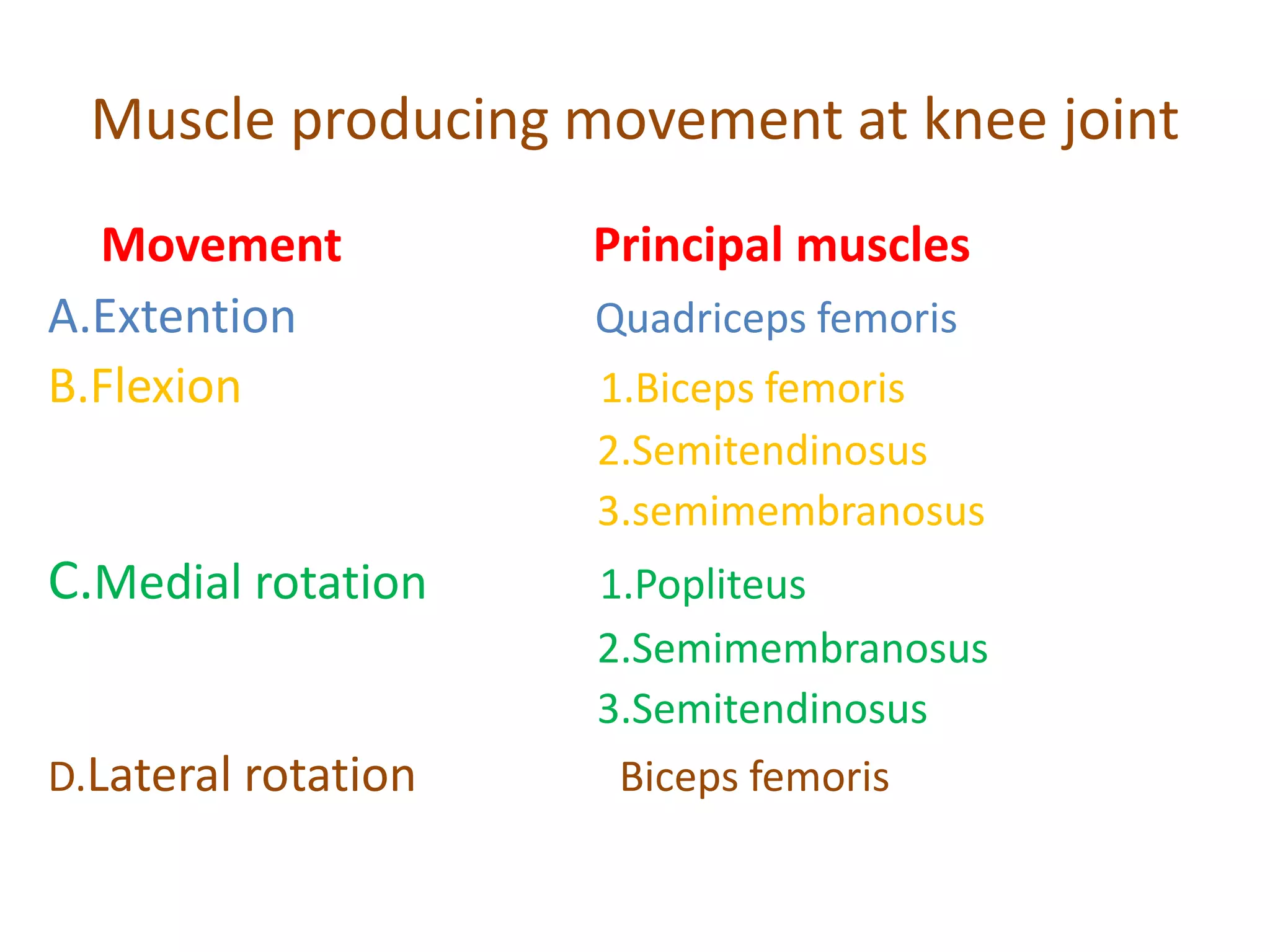 Anatomy of knee joint | PPTX