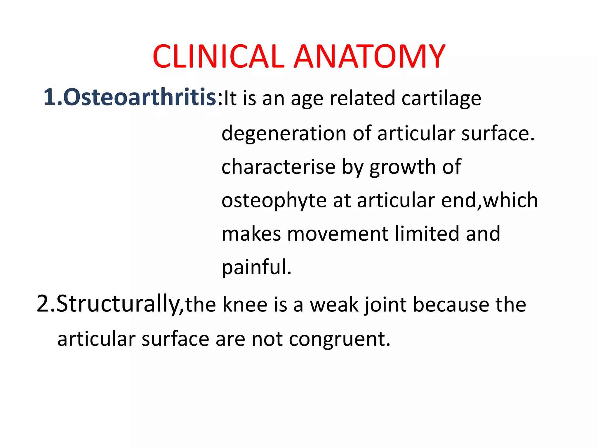 Anatomy of knee joint | PPTX
