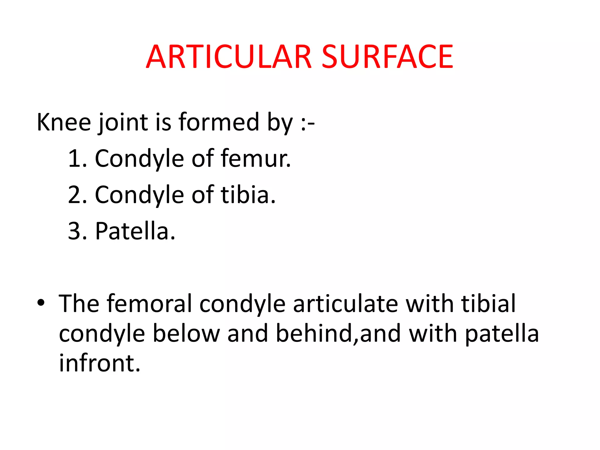 Anatomy of knee joint | PPTX