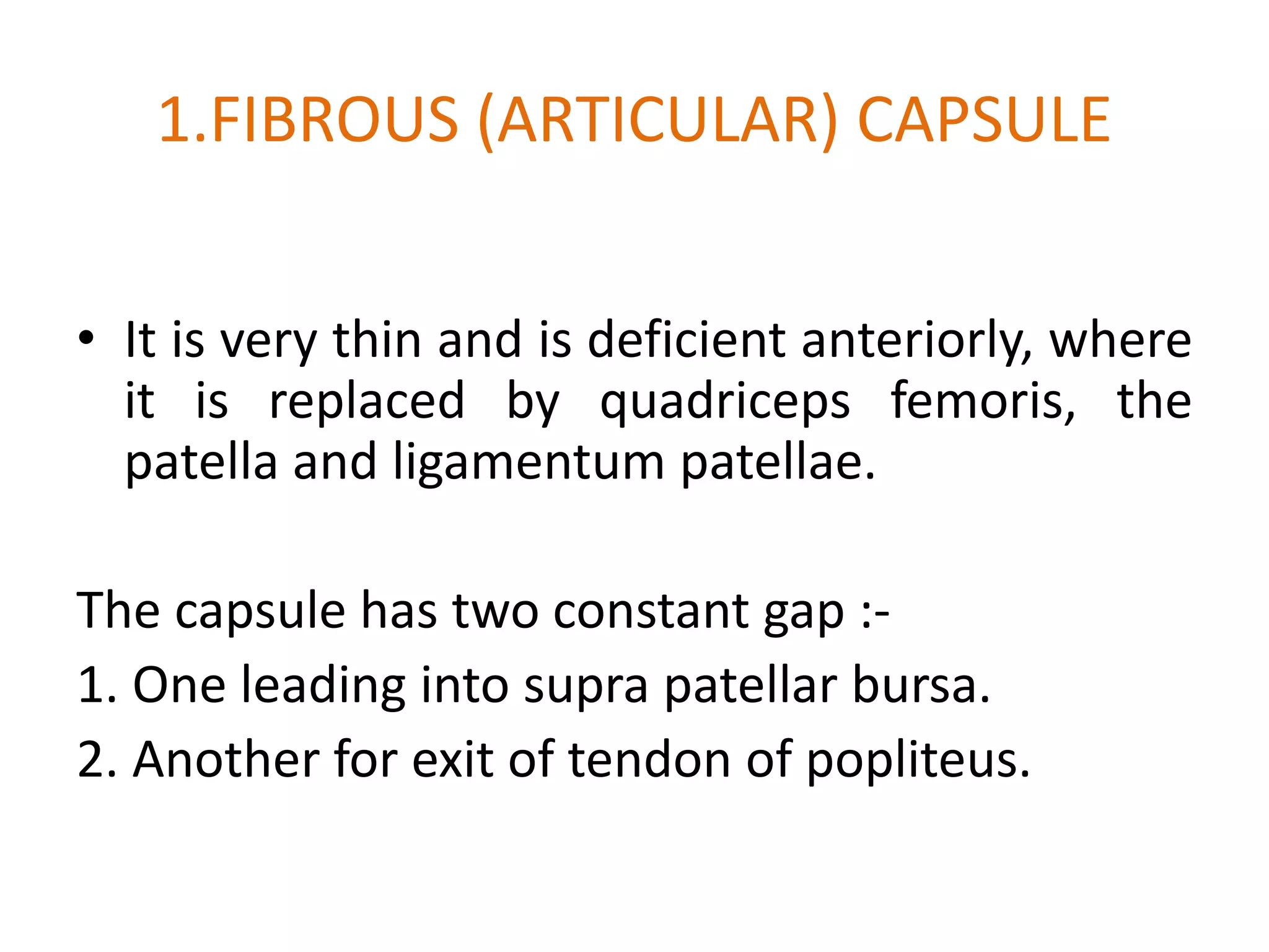 Anatomy of knee joint | PPTX