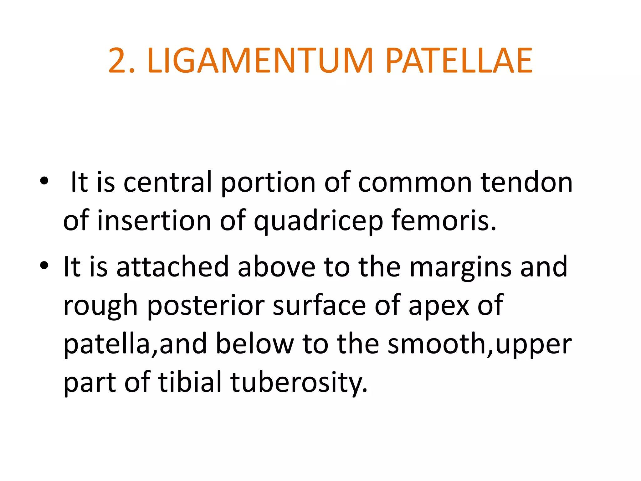 Anatomy of knee joint | PPTX