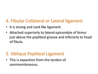 Anatomy of knee joint | PPTX