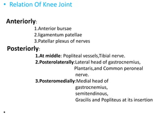 Anatomy of knee joint | PPTX