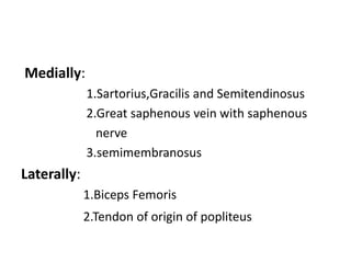 Anatomy of knee joint | PPTX