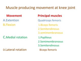 Anatomy of knee joint | PPTX
