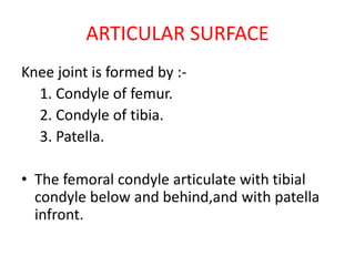 Anatomy of knee joint | PPTX