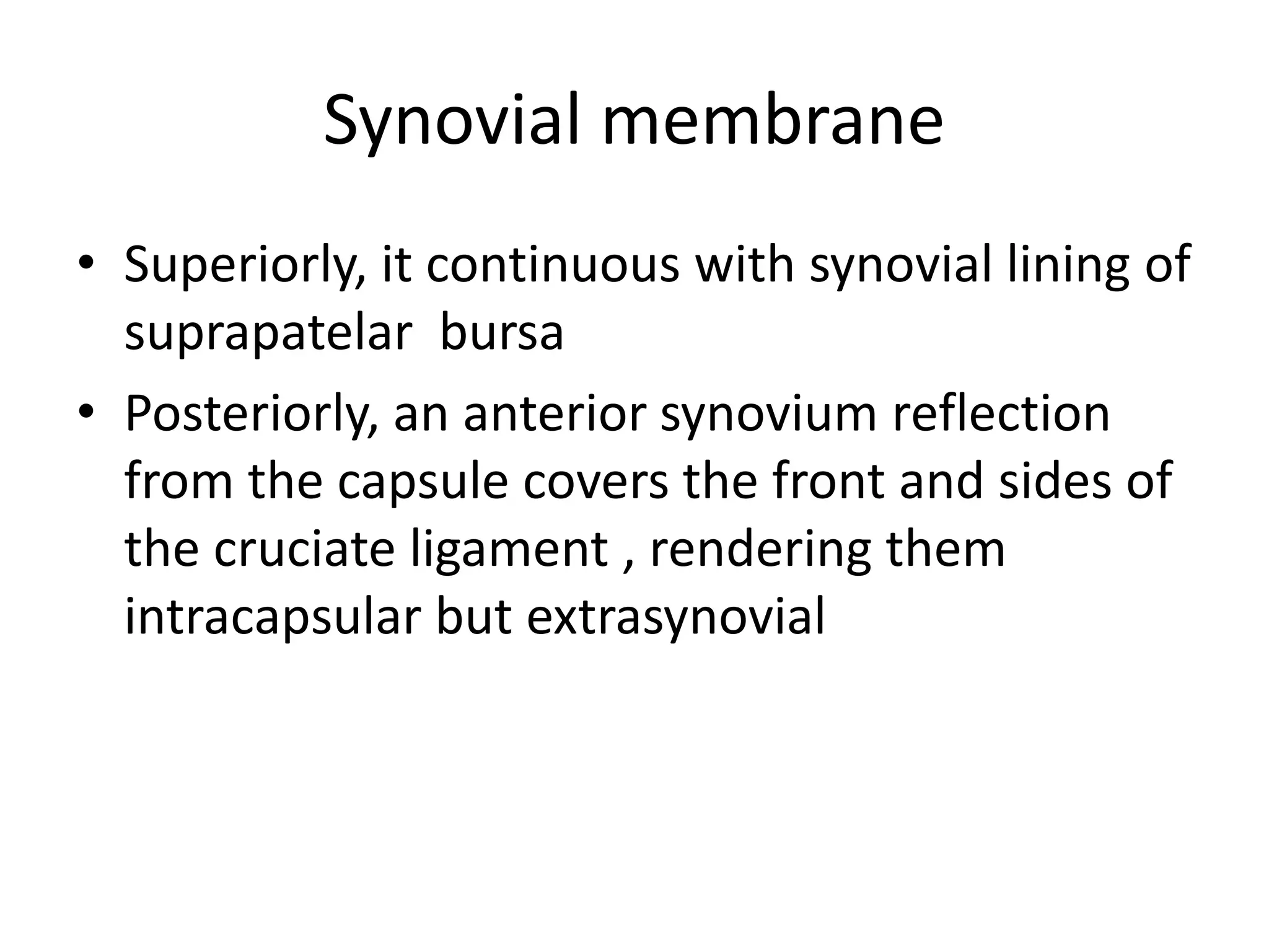 Anatomy Of Knee Joint.pptx