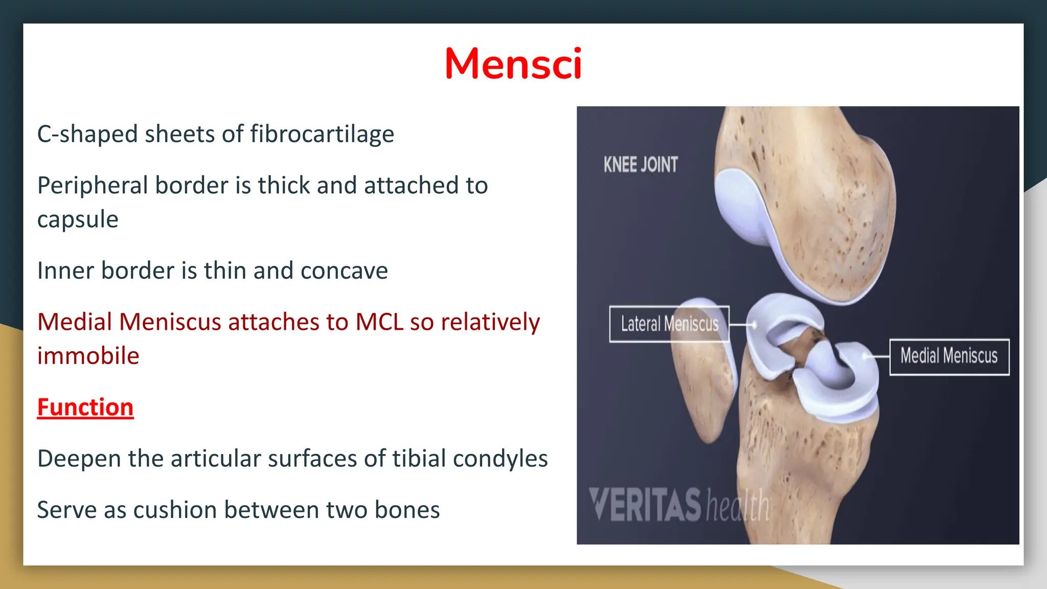 Anatomy of knee joint explained: Bones , Ligaments, Mensci, and ...