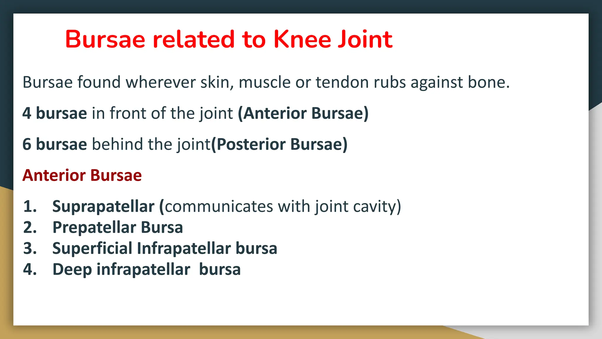 Anatomy of knee joint explained: Bones , Ligaments, Mensci, and ...