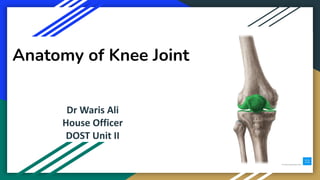 Anatomy of knee joint explained: Bones , Ligaments, Mensci, and ...