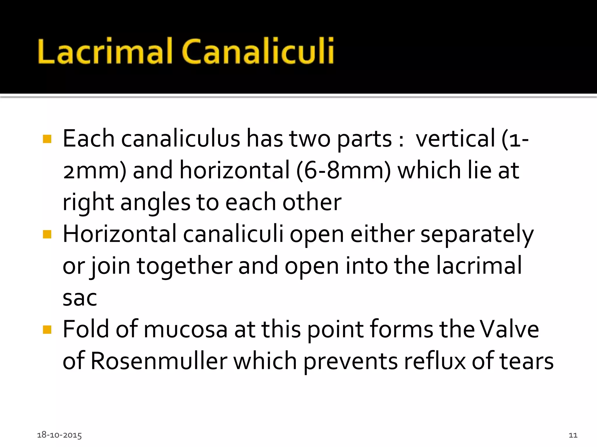 Anatomy of lacrimal apparatus | PPTX