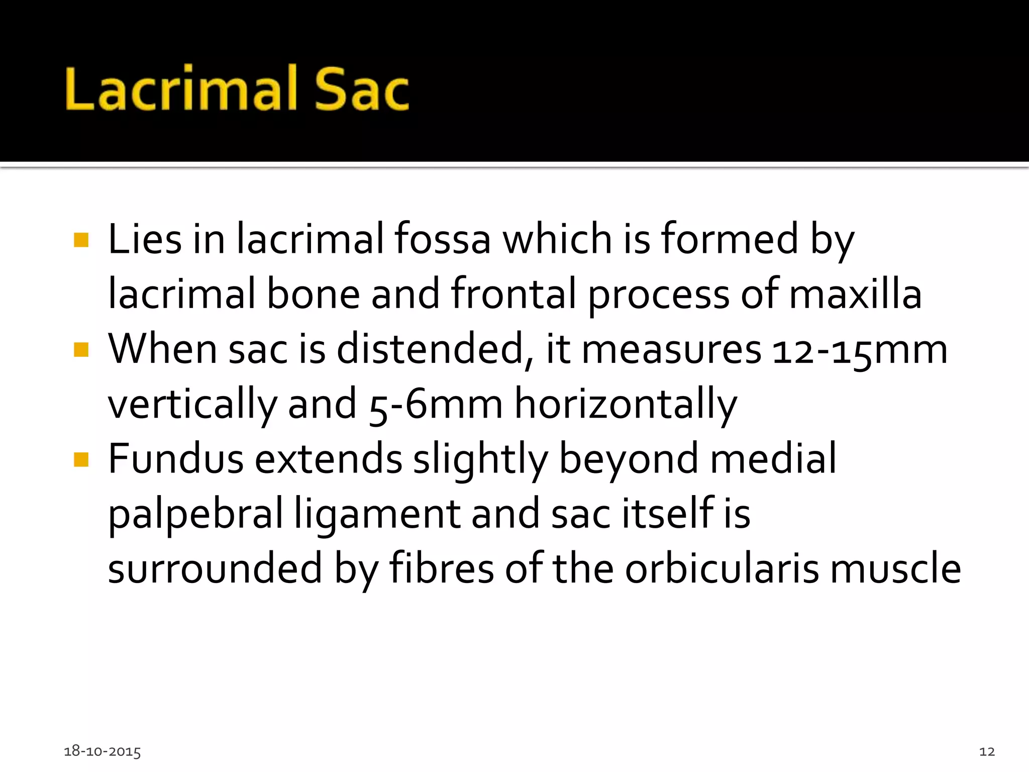 Anatomy of lacrimal apparatus | PPTX