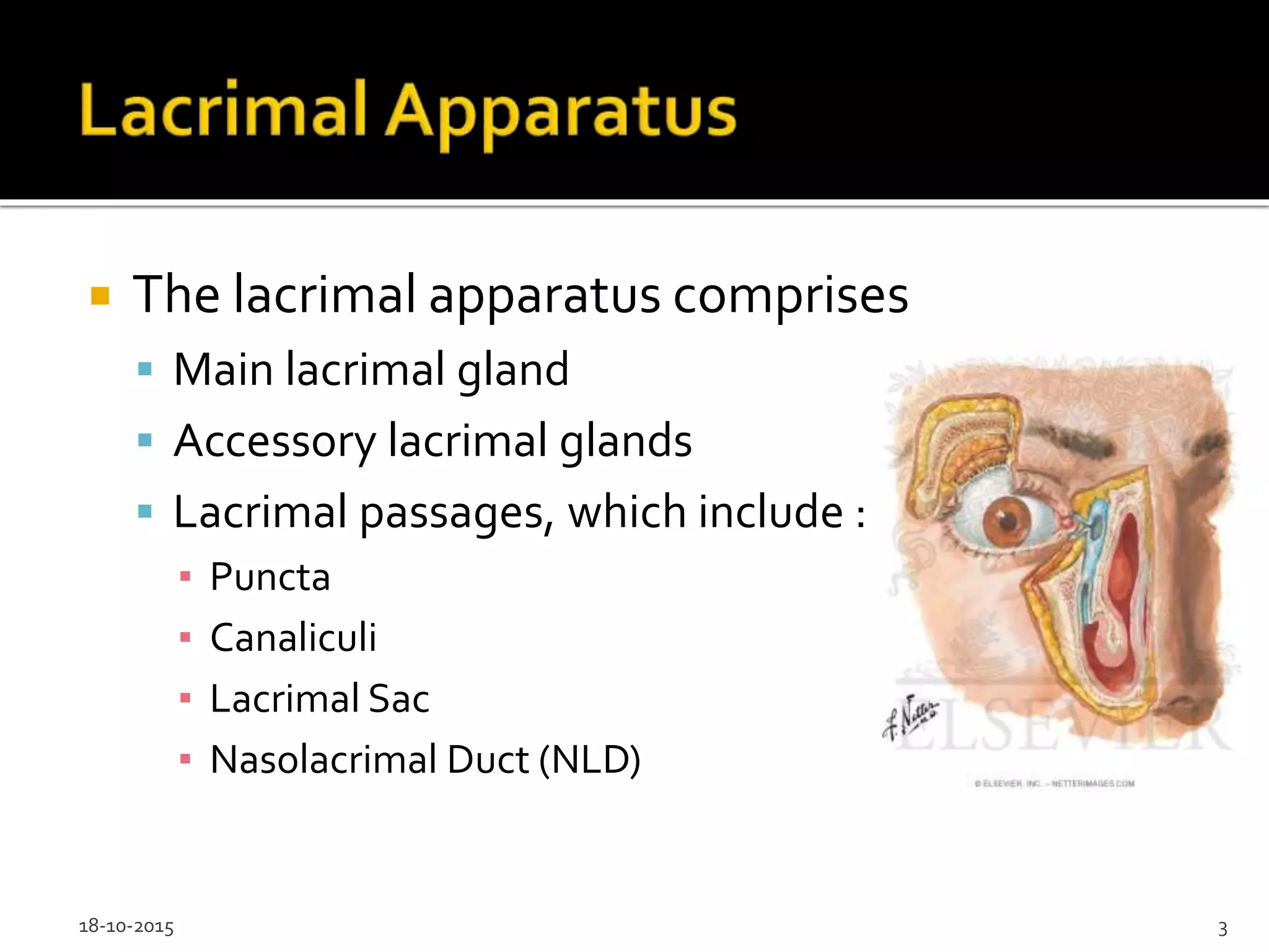 Anatomy of lacrimal apparatus | PPT