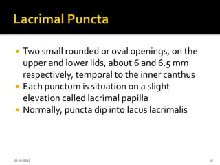 Anatomy of lacrimal apparatus | PPTX