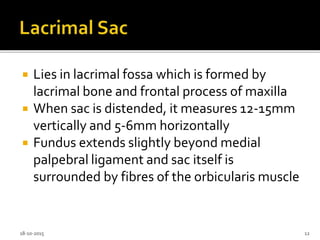 Anatomy of lacrimal apparatus | PPTX