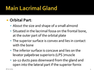 Anatomy of lacrimal apparatus | PPTX