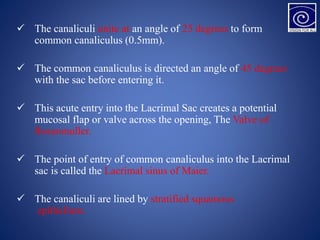 Anatomyoflacrimalapparatus 160313074220 | PPTX