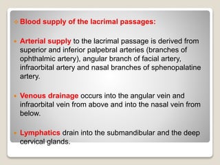 Anatomyoflacrimalapparatus 160313074220 | PDF