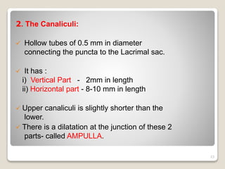 Anatomy of lacrimal apparatus | PPTX
