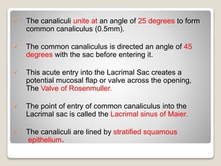 Anatomy of lacrimal apparatus | PPTX