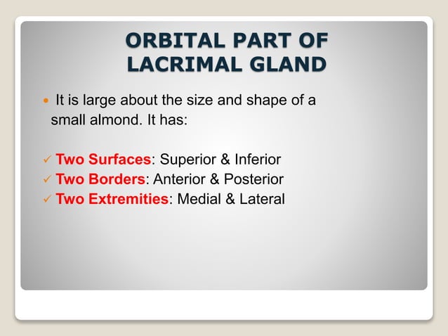Anatomy of lacrimal apparatus | PPTX