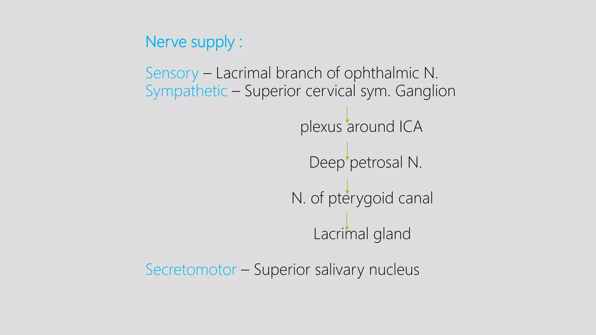 Anatomy of lacrimal apparatus | PPTX