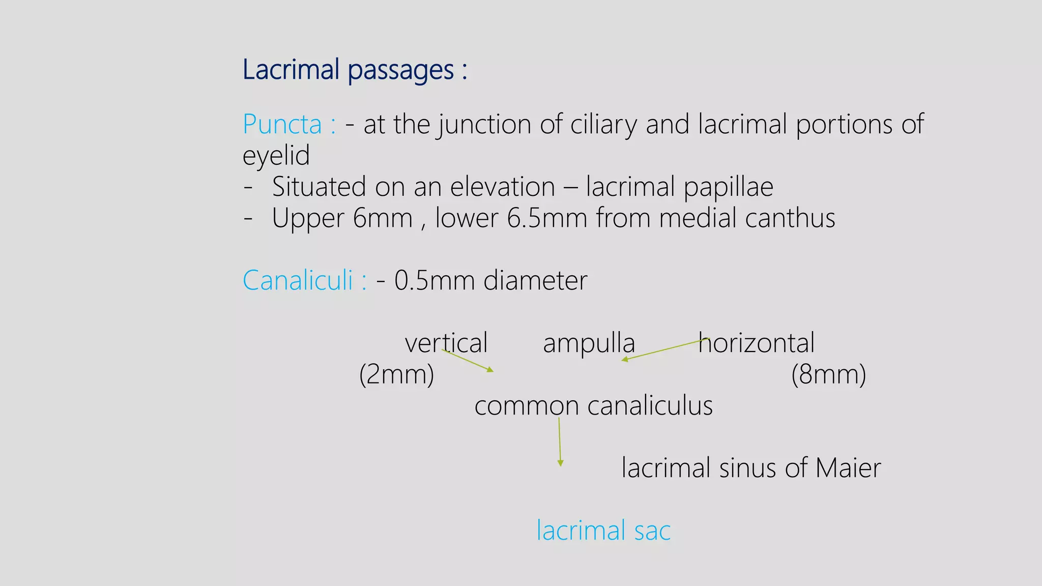 Anatomy of lacrimal apparatus | PPTX