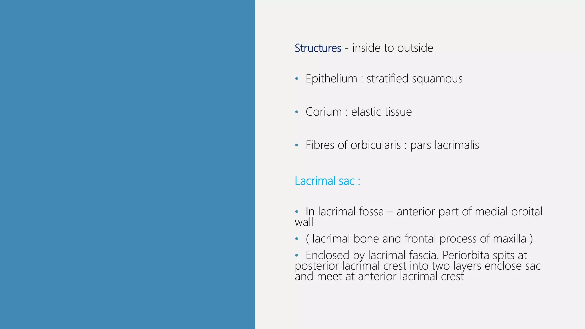 Anatomy of lacrimal apparatus | PPTX