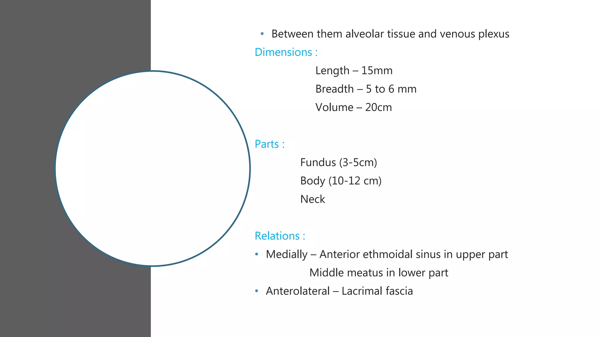 Anatomy of lacrimal apparatus | PPTX