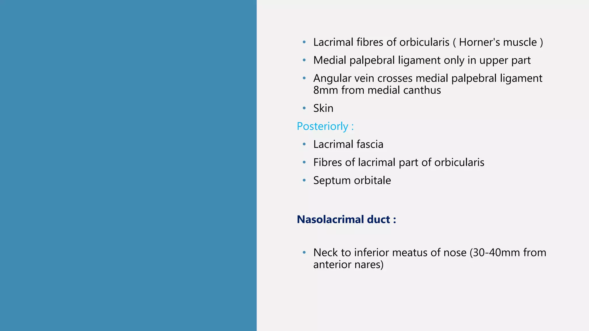Anatomy of lacrimal apparatus | PPTX