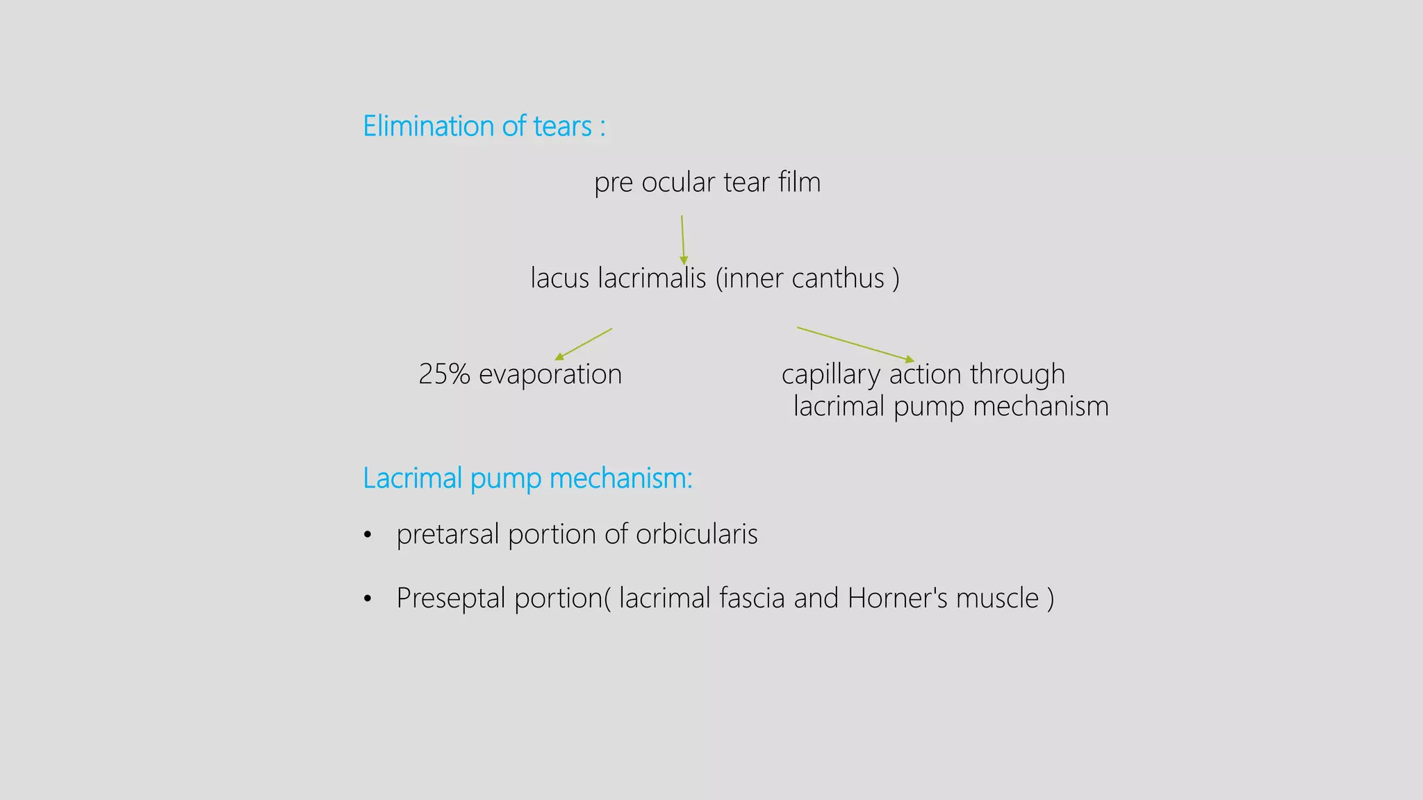 Anatomy of lacrimal apparatus | PPTX