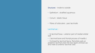 Anatomy of lacrimal apparatus | PPT