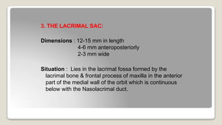 anatomyoflacrimalapparatus-.pptx invludin | PPTX