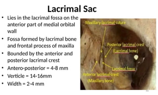 Anatomy of Lacrimal system (Oculoplasty) | PPTX