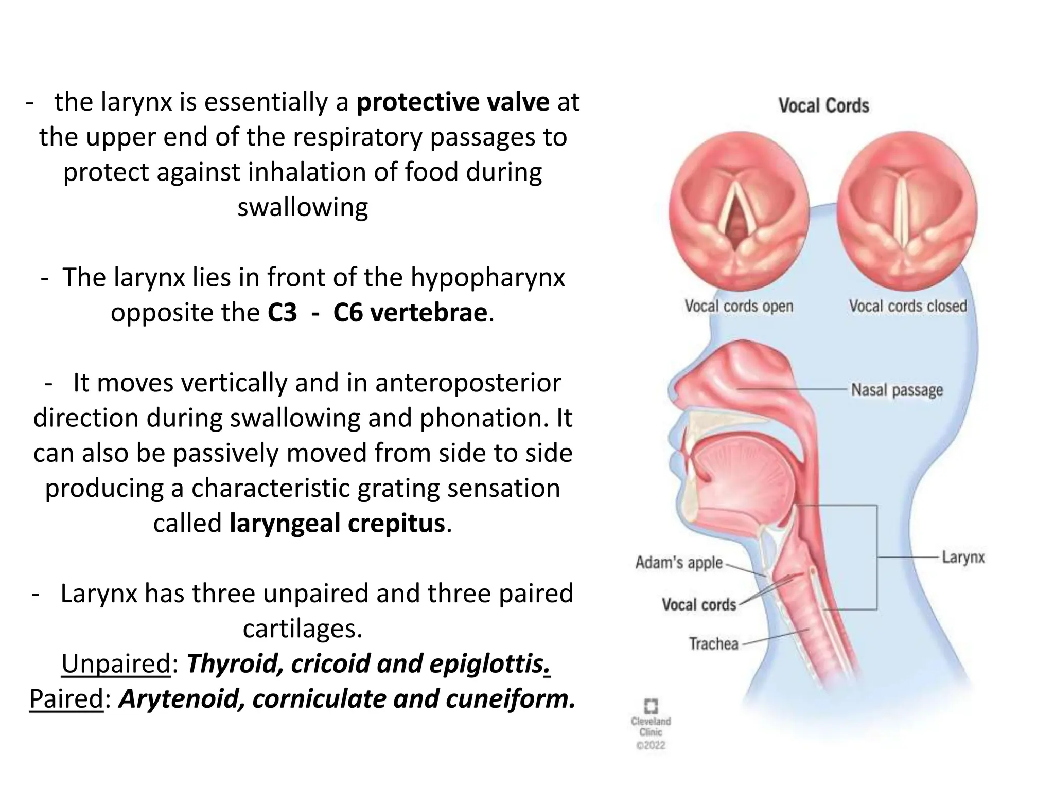 ANATOMY AND FUNCTIONS OF LARYNX-1...pptx