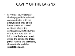 ANATOMY AND FUNCTIONS OF LARYNX-1...pptx