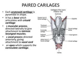 ANATOMY AND FUNCTIONS OF LARYNX-1...pptx