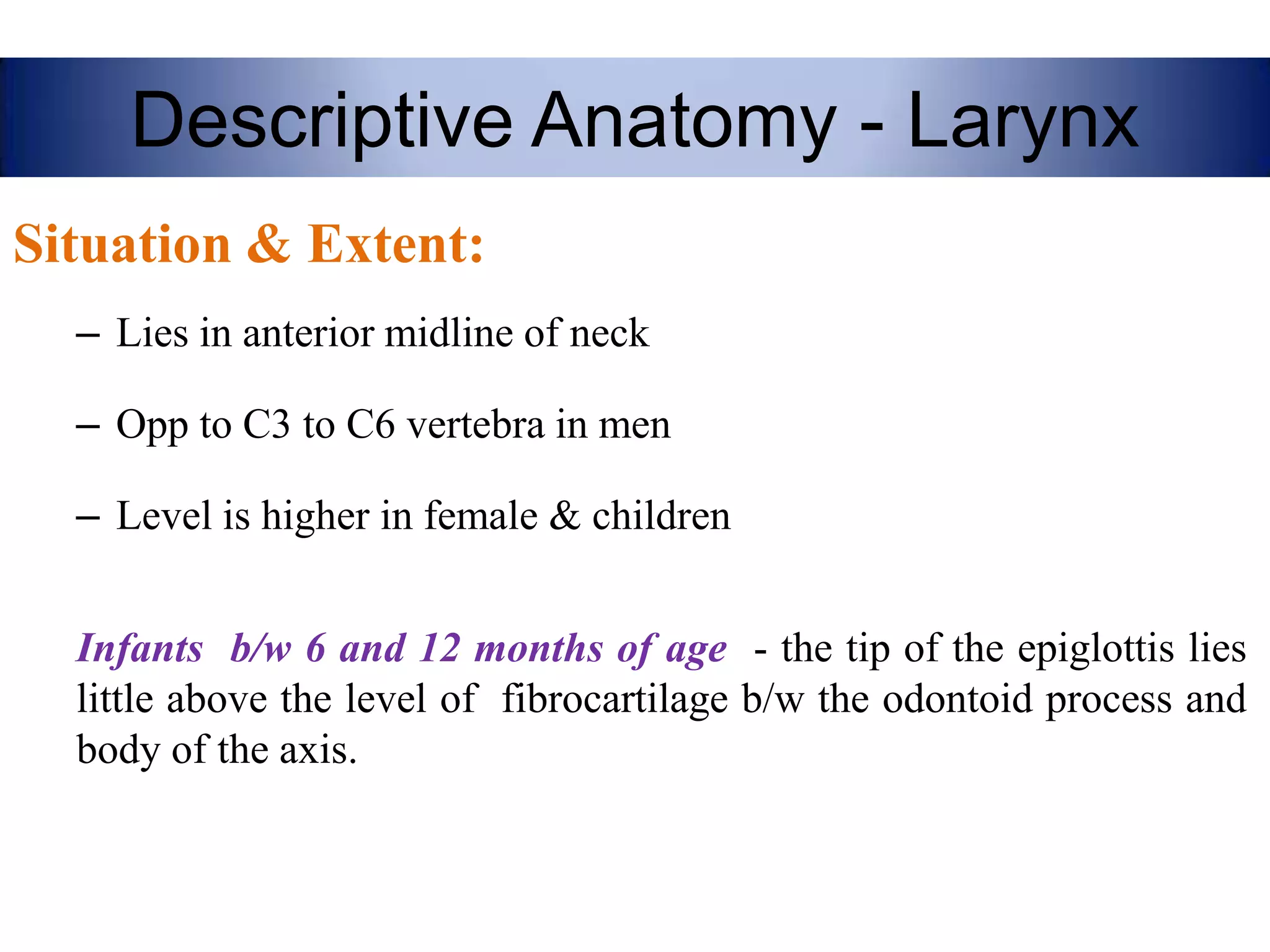 Anatomy of larynx | PPTX