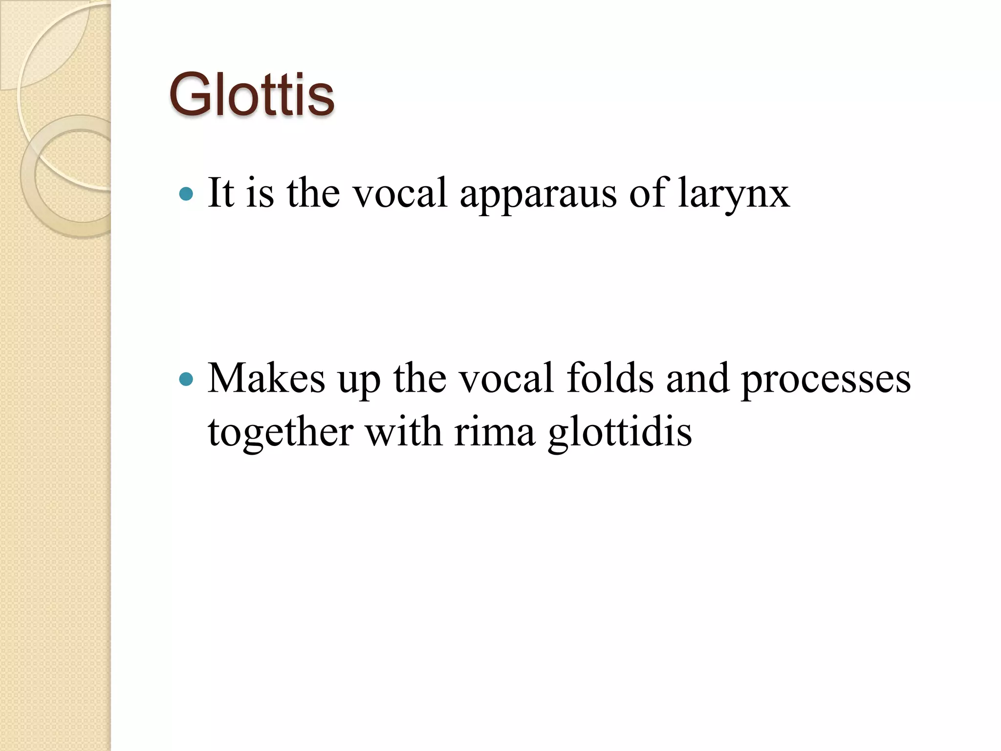 Anatomy of larynx | PPTX