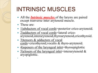 Anatomy of larynx | PPTX