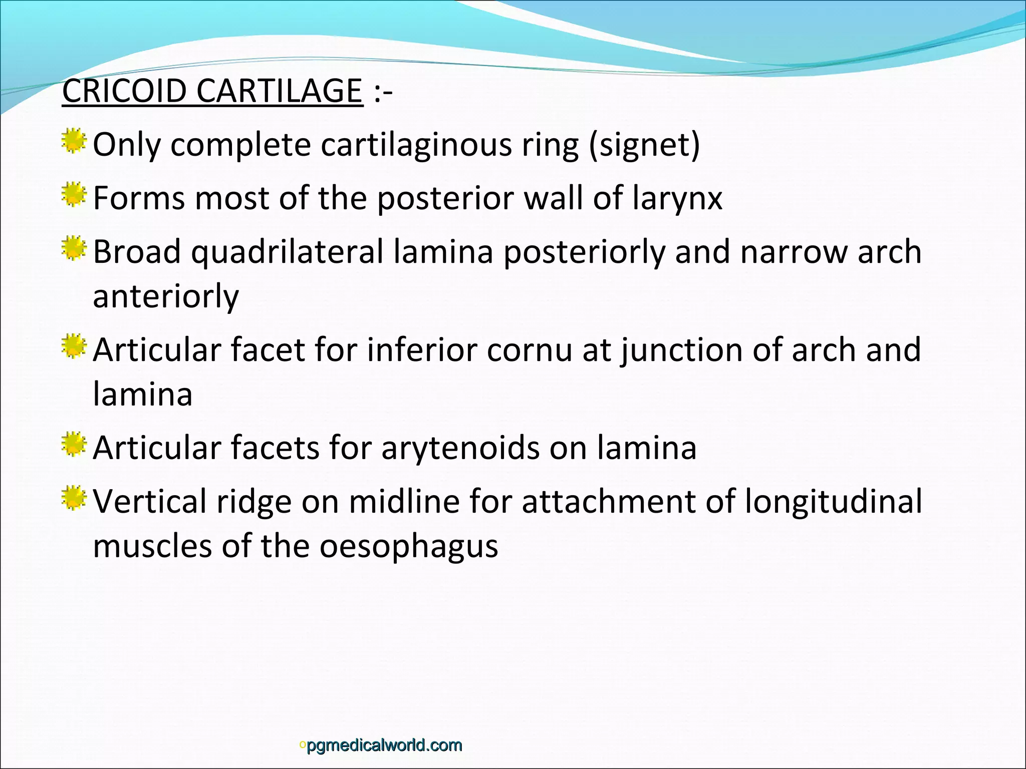 Anatomy of larynx | PPT