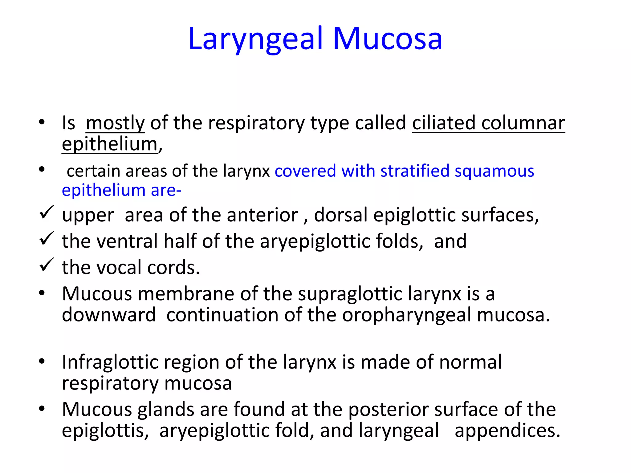 Anatomy of larynx. | PPTX
