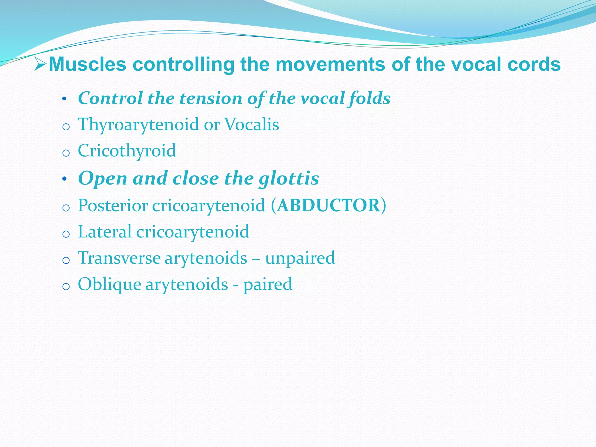 Anatomy of larynx | PPTX