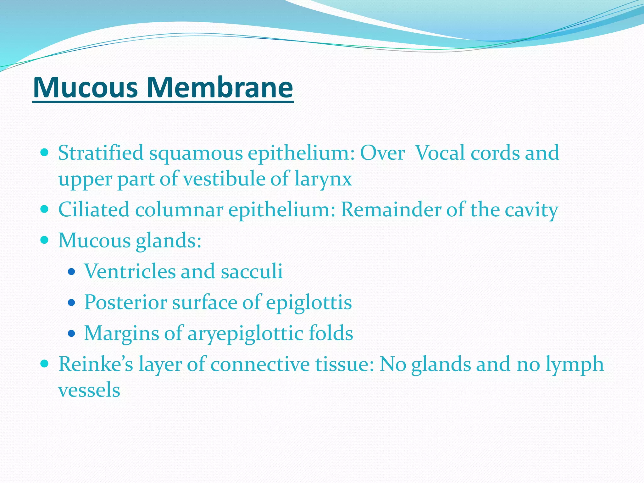 Anatomy of larynx | PPTX