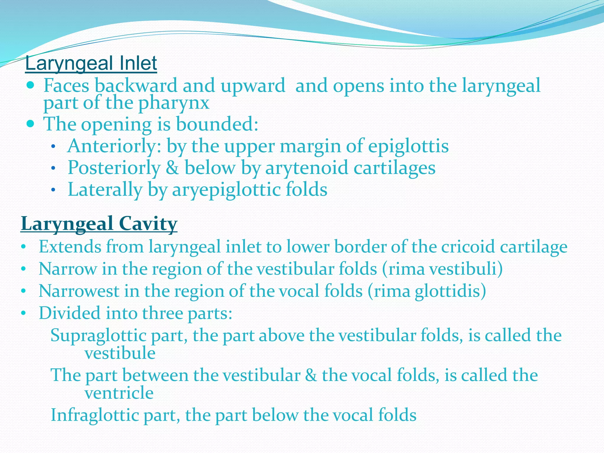 Anatomy of larynx | PPTX