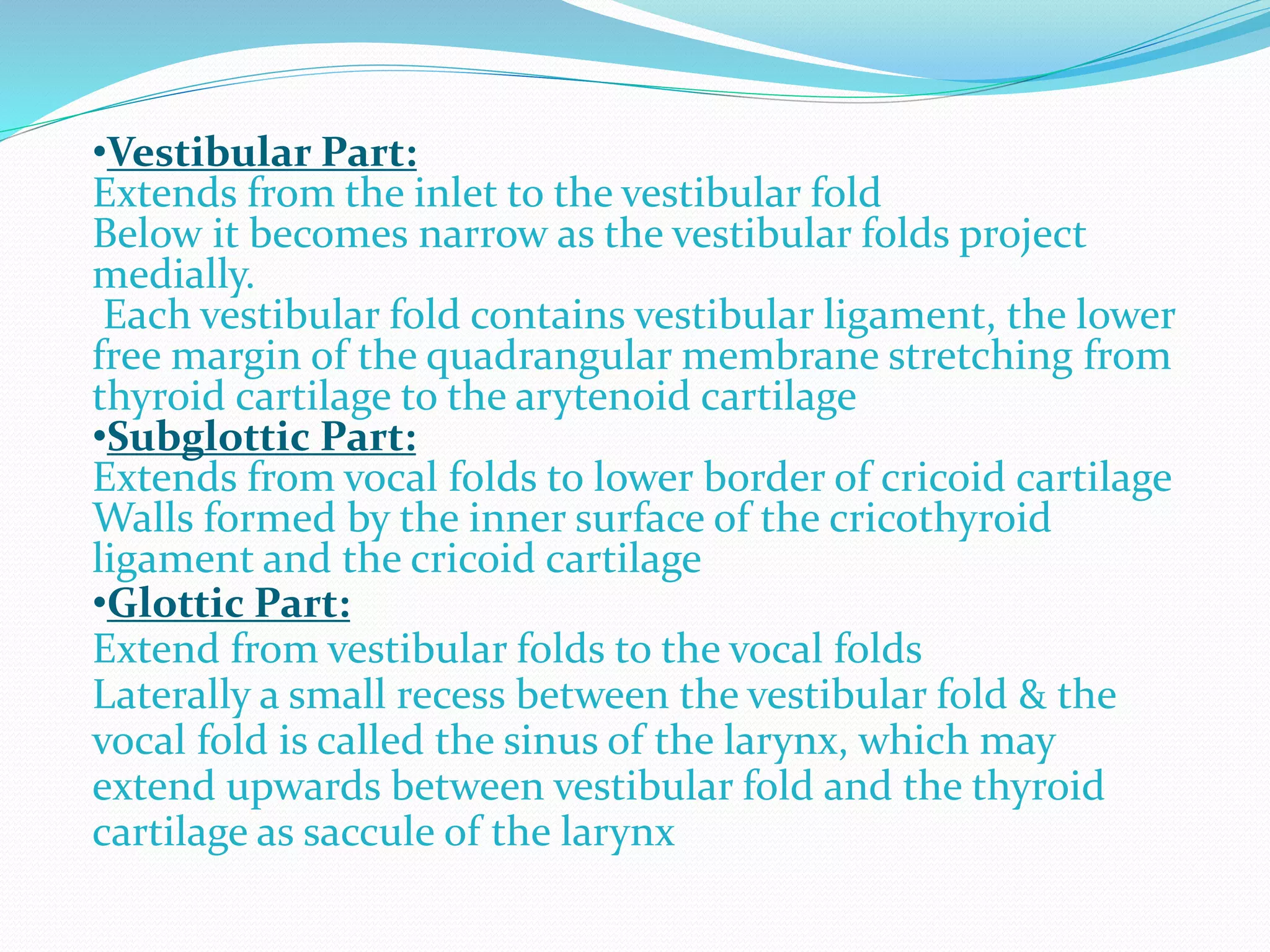 Anatomy of larynx | PPTX